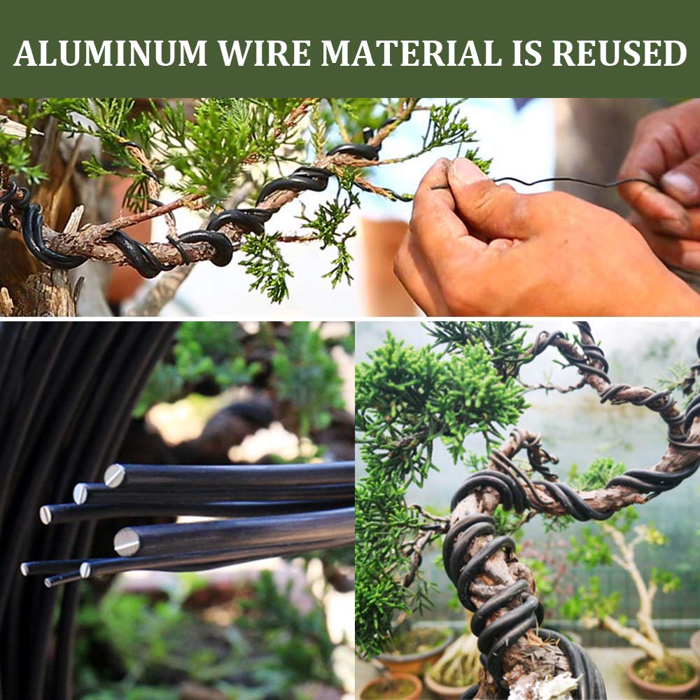 Bonsai Wire with Cutter Kit - 9 Roll Tree Training Wires 149.6 Feet Total .Anodized Aluminum Wire 1mm/1.5mm/2.0 mm Training Wire,for Bonzai Trees Indoor (149.6 Feet, Green, 9)