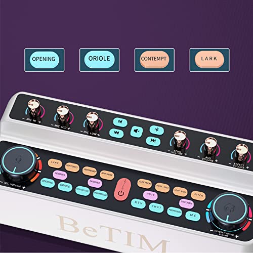 BeTIM Podcast Equipment Bundle, Audio Interface-All in One with Bluetooth Speaker for Live Streaming, Podcast Recording, Karaoke