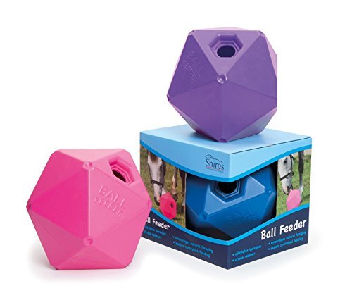 Shires Ball Feeder 9 Purple by Shires