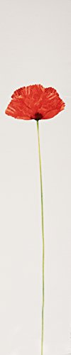 Kenzo Flower By Kenzo For Women. Eau De Parfum Spray 3.3 Ounces