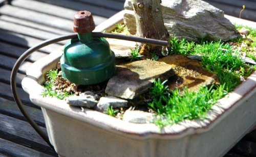 Blumat Bonsai Automatic Plant Watering Sensor || Never Over or Under Water Your Plants Again!