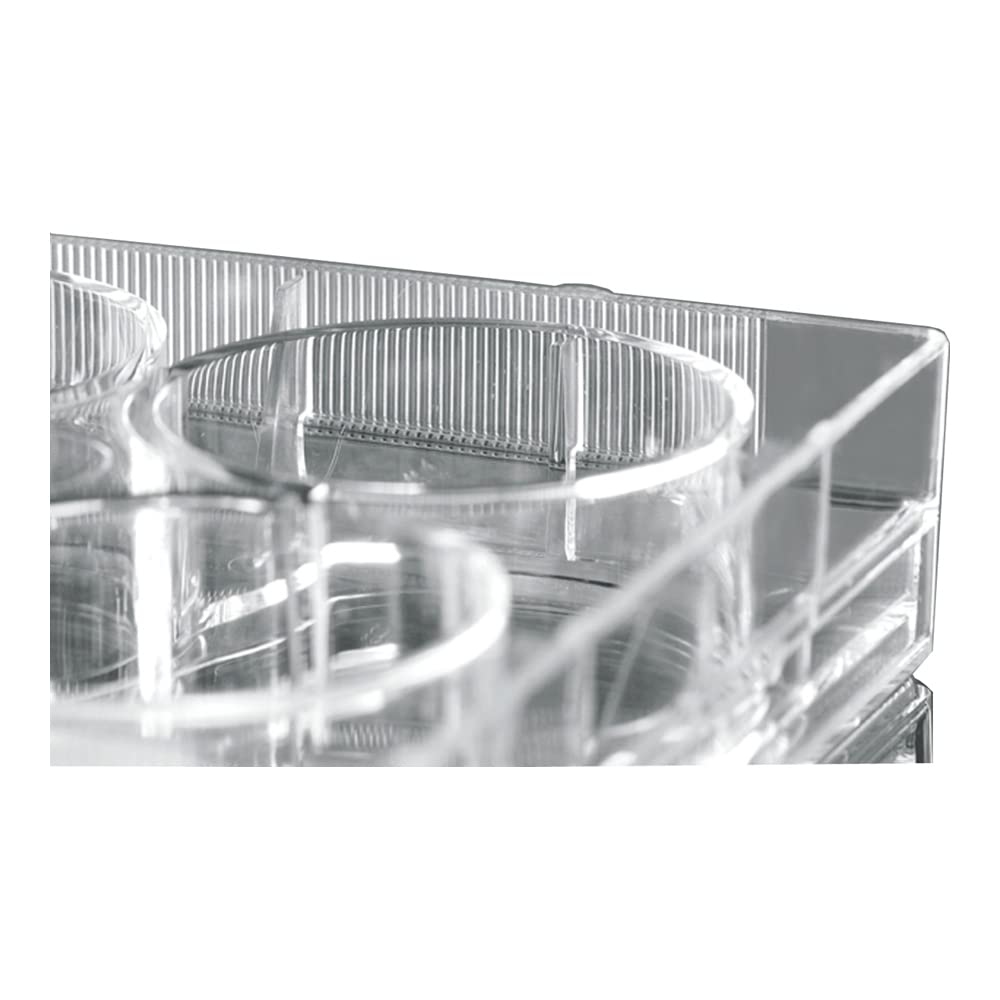 Nest Scientific 701002 96 Well Cell Culture Plate, Flat, TC, sterile 10/pk, 100/cs