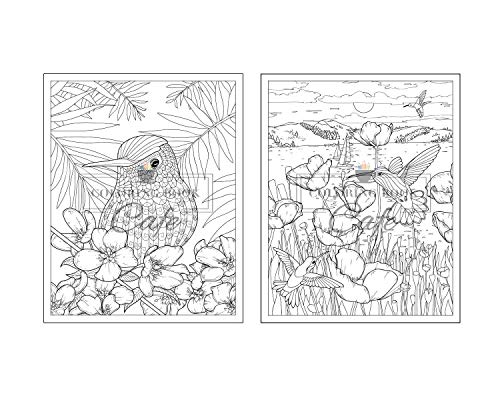 Hummingbird Coloring Book: An Adult Coloring Book Featuring Charming Hummingbirds, Beautiful Flowers and Nature Patterns for Stress Relief and Relaxation