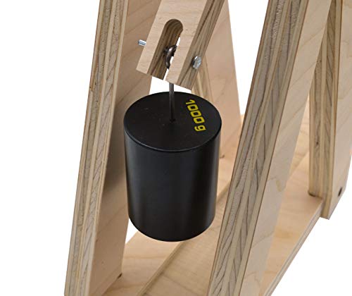 Premium Large Trebuchet DIY Kit - 21" Beam Arm Launches up to 30 Feet! - STEM Learning - Explore Gravitational Potential Energy, Projectile Motion & Energy Transformation - Garage Physics by Eisco