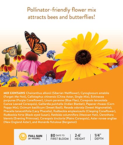 Burpee Wildflower Seed Mix for Pollinators