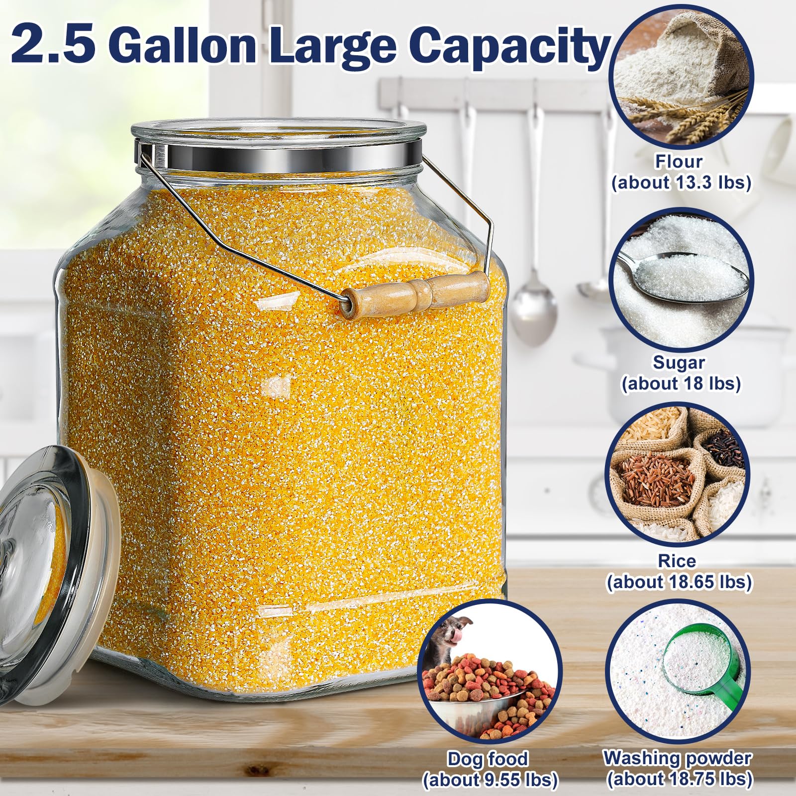 Daitouge 2.5 Gallon Glass Jar with Lids, 5.5" Opening Heavy Large Glass Storage Jars with Handle, Extra Big Glass Container for Kitchen Organization
