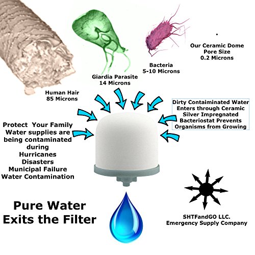 Ceramic Dome Water Filter Element with Silver Purification (2)