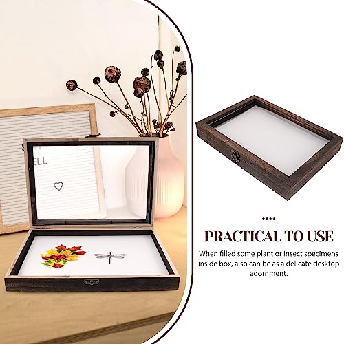 Cabilock Insect Display Case Wooden Bug Collection Box with Clear EVA Top Insect Shadow Box Insect Specimen Storage Box for Home