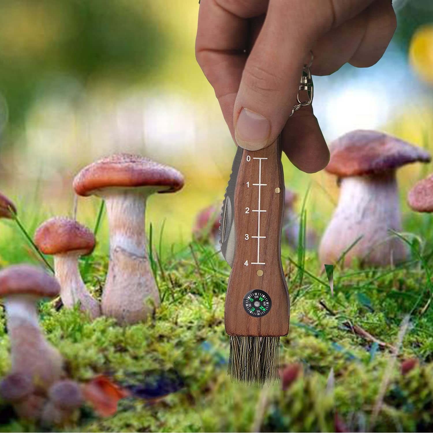 CABUGE Mushroom Knife with Brush & Sharpener, Folding Pocket knife with Wood Handle & Clip for Men Women, Folding Knives for Outdoor Camping
