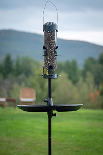 Brome Mega 600 Metal Tube Feeder w/6 Seed Ports, 4 lbs seed capacity