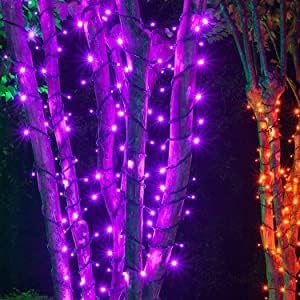 FUNPENY Halloween Clear Mini String Lights, Total 32FT 100LED Battery Operated Waterproof Fairy Lights with 8 Lighting Modes, Halloween Decorations for Indoor Outdoor Garden Party(Purple,2 Pack)