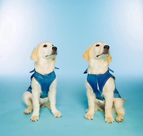 Dolly Doggy Parton Blue Denim Jacket with Collar for Dogs, Dog Apparel