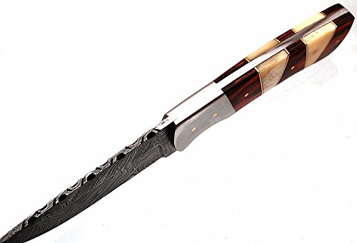 AishaTech Fortune Custom Hand Made Hunting Knife Damascus Steel Blade Wood Bone Handle