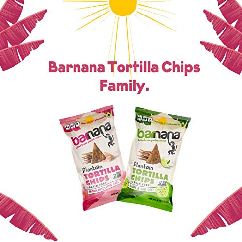 Barnana Grain-Free Plantain Tortilla Chips β Himalayan Pink Salt β 4 Ounce, 1 Pack β Gluten-Free, Corn-Free, Paleo β Golden Brown, Perfect Crunchy Snack - Made With 100% Avocado Oil