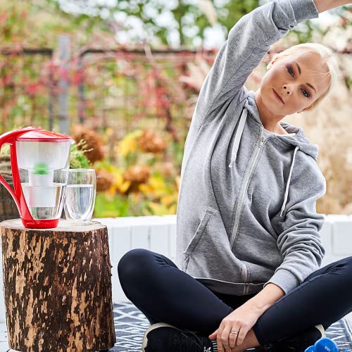 DAFI Alkaline Water Filter for Water Pitcher Replacement Compatible with Brita | Pack of 3 | High pH and Negative OR Potential | Replacements Alkaline Water Cartridges, waterdrip purifier | BPA-Free