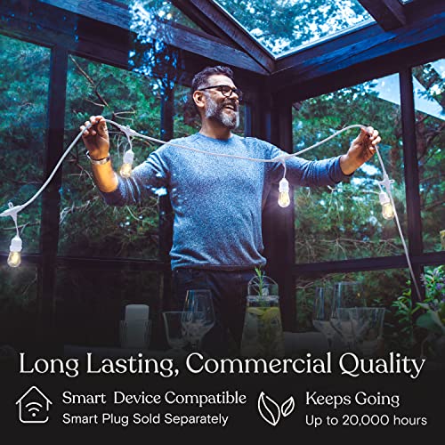 Brightech Ambience Pro - Waterproof LED Outdoor String Lights - Hanging, Dimmable Vintage Edison Bulbs, 48 Ft Commercial Grade Patio Lights Create Cafe Christmas Ambience In Your Backyard, 15 Bulbs 2W
