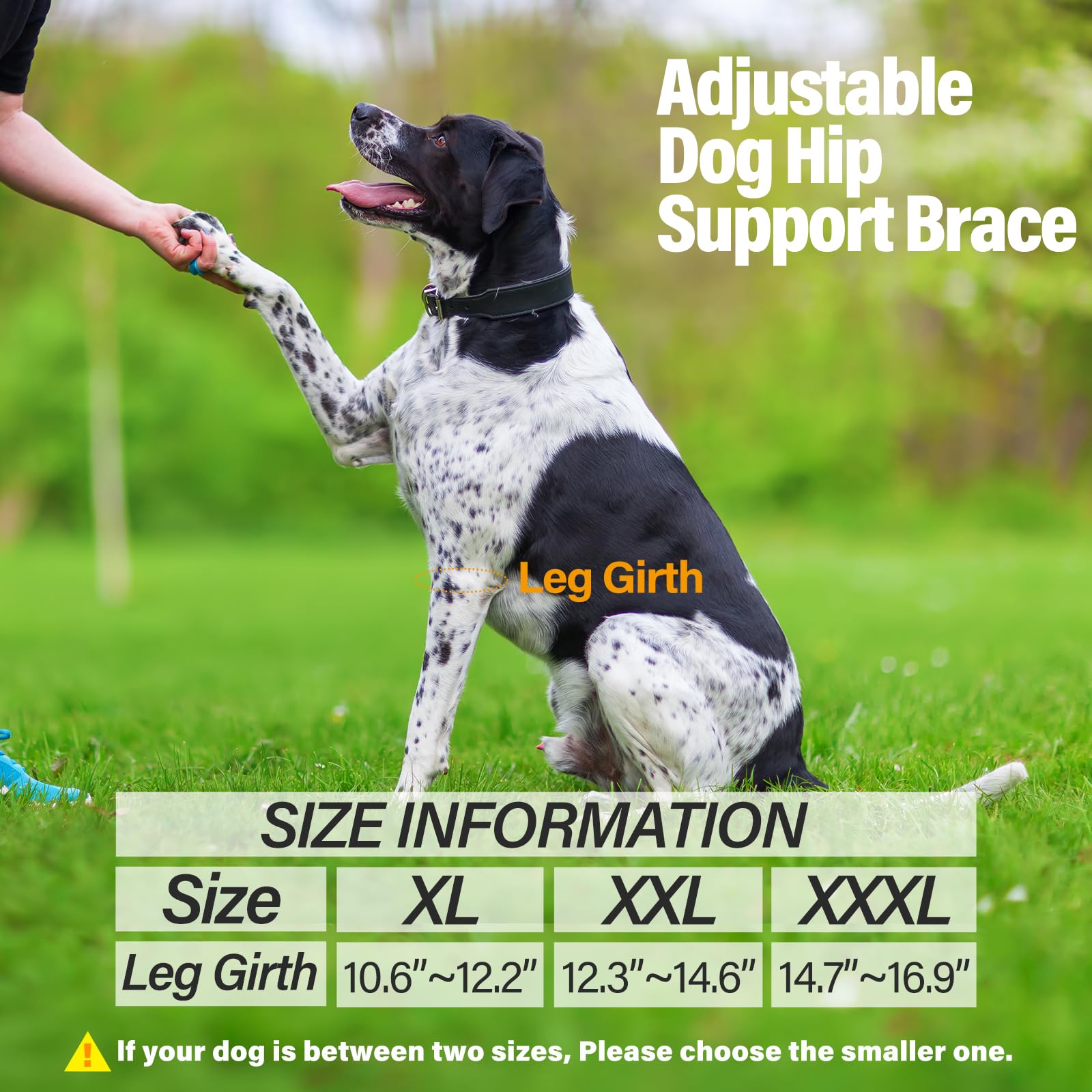 Dog Knee Brace with Side Stabilizers - Support for Dog ACL CCL Cruciate Ligament Injury Joint Pain and Muscle Sore(Size XXL