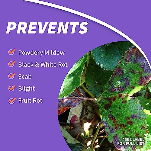 Bonide 2021 Fruit Tree/Plant Guard Concentrate, Pint - Quantity 1