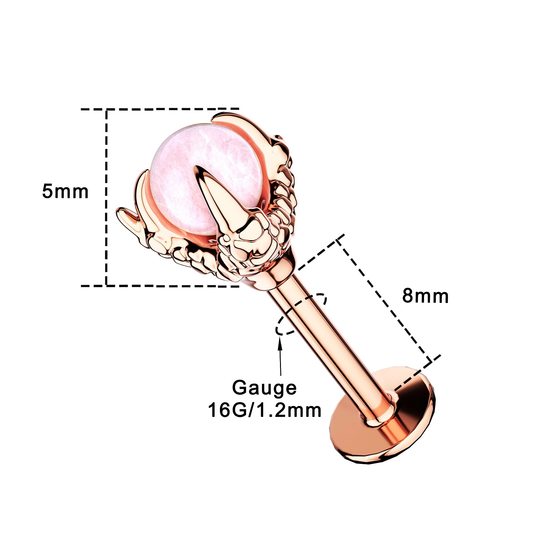 OUFER Helix Earrings 16G Stainless Steel Dragon Claw Tragus Stud Earrings Ear Piercing Jewelry Labret Monroe Lip Rings