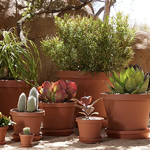 Bloem Terra Pot Round Drain Saucer: 16" - Terra Cotta - Tray for Planters 11-16", Matte Finish, Durable Resin, Ribbed Bottom, for Indoor and Outdoor Use, Gardening, Planter Not Included