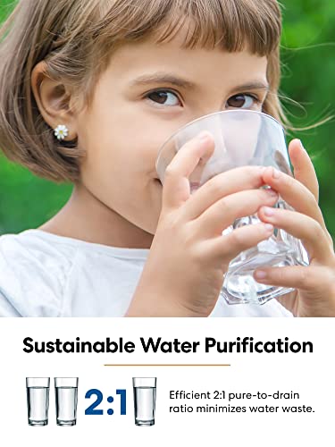 Brio Reverse Osmosis Water Filtration System, 700 GPD, 2:1 Pure to Drain, Tank-Less, Under Sink Faucet Mount