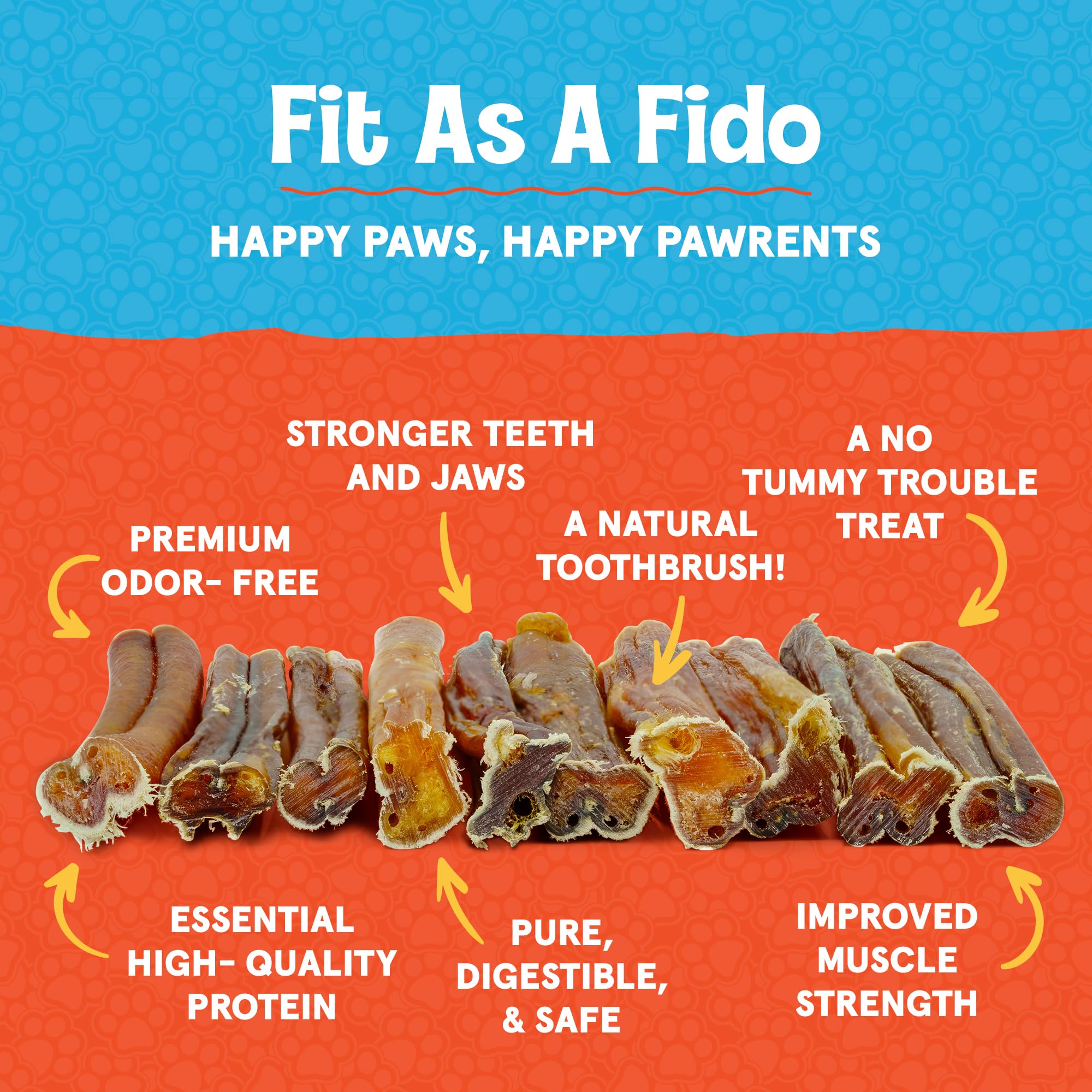 FETCHERONI Large Bully Sticks for Dogs - 100% Beef Tasty Natural Flavor - Fully Digestible Dog Chews - Long-Lasting chewing sticks - Bully Sticks Odor Free for Medium and Large Dogs (12 Inch, 10 Pack)