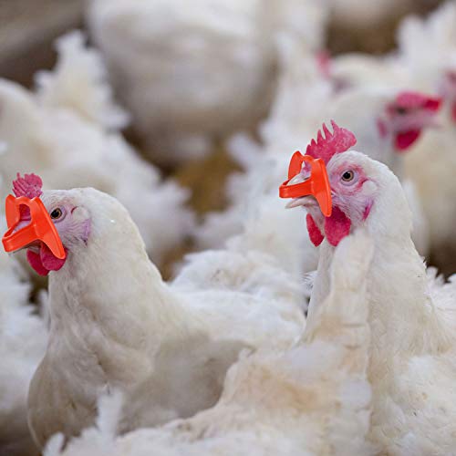 Boao 61 Pieces Pinless Peepers for Chicken Peepers Pheasant Poultry Blinders Spectacles Anti Pecking Eyeglasses Tool for Pet Middle