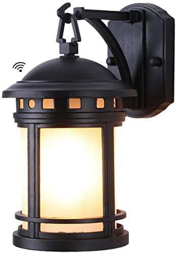 HSPHFX Wall Lantern Coach Lamp Industrial Steampunk Cage Fixture Outdoor Home Wall Sconce Mount with Clear Glass Shade - Dusk to Dawn Exterior Sensor - for Pasture Restaurant Garden Factory