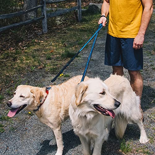 Kurgo 6 in 1 Hands Free Dog Leash , Reflective Running Belt Leash for Dogs, Crossbody & Waist Belt Leash, Carabiner clip, Padded Handle, For Training, Hiking, or Jogging, Quantum Leash, Coastal Blue, Large