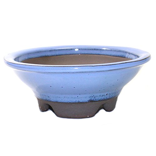 Bonsai Pot Ceramic Jin-Gasa Shape Glazed (5.75", Kinyo-Yu)