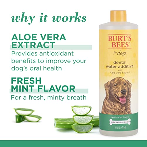 Burt's Bees for Pets Training Dog Dental Water Additive with Aloe Vera Extract, 16 fl Oz | Water Additive for Dogs in Fresh Mint Flavor | 97% Natural Dog Water Additive