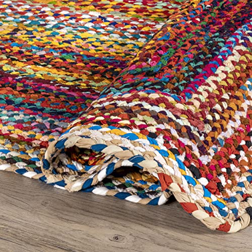 nuLOOM Tammara Bohemian Hand Braided Area Rug, 2' x 3', Multi