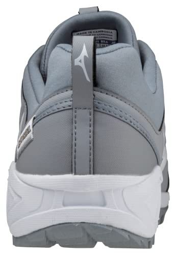 Mizuno mens All Surface Low Ambition 2 Turf Shoe, Grey-White, 10.5 US