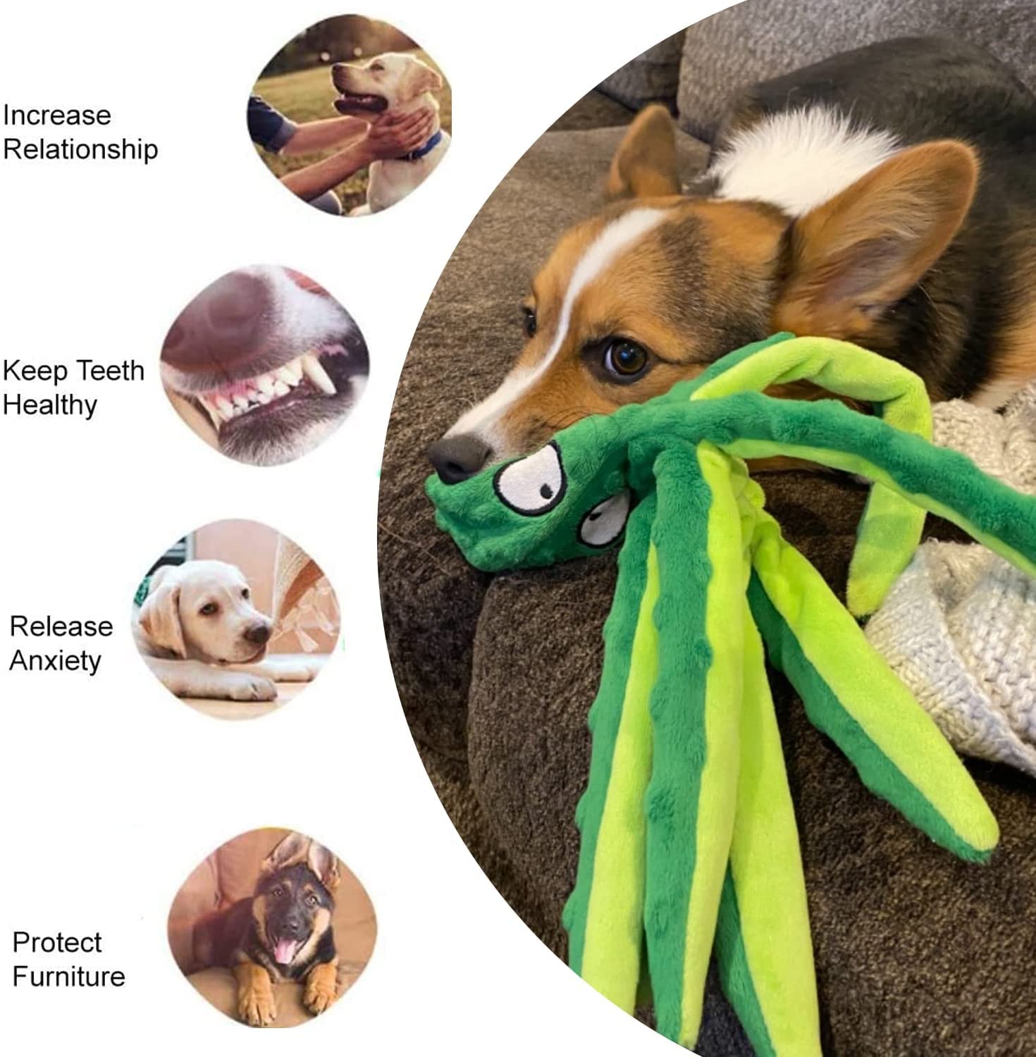 PLEACCOM Dog Squeaky Toys Octopus, No Stuffing Crinkle Plush Dog Toys for Puppy Teething, Durable Interactive Dog Chew Toys for Small to Medium Dogs Training and Reduce Boredom (2 Pack)