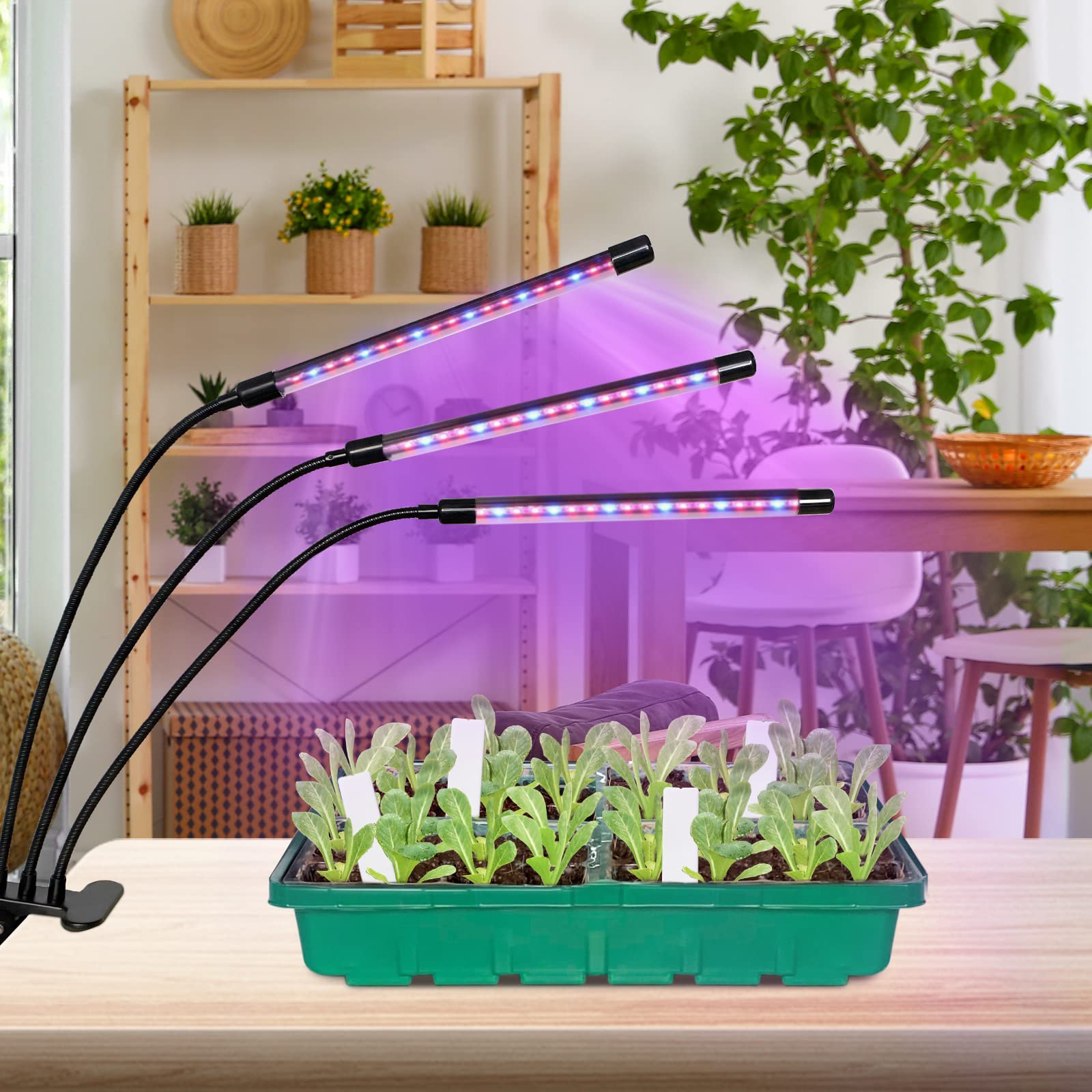 AUPETEK Seed Starter Kit with Grow Light & Humidity Domes, 48 Cell Trays Seed Germination Station Plant Propagation Kit