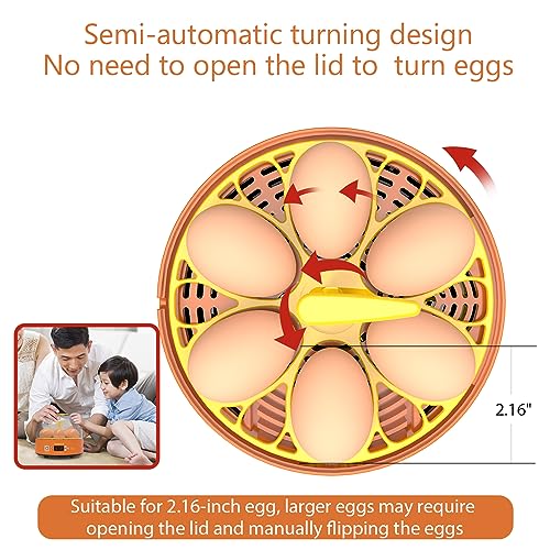 ayakol Small 6 Egg Incubator with External Lever Egg Turner,Temperature Control, Humidity Control, Led Candler, Hatcher for Chicken Duck Pigeon Quail Parrot,360 Degree View…
