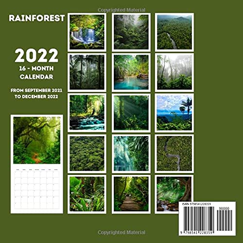 Rainforest Calendar 2022: 16-Month Calendar, Cute Gift Idea For Forest Lovers Women & Men