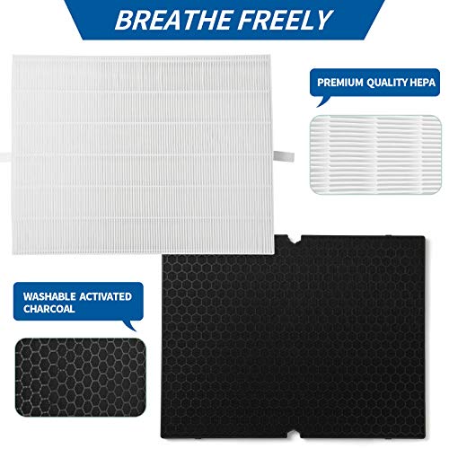 DerBlue 2 Set Filter H Replacement Compatible with Winix 5500-2 Compare to Part # 116130