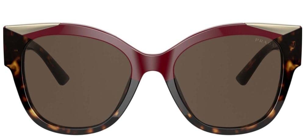 Prada PR 02WS 07C0D1 Maroon/Havana Plastic Square Sunglasses Brown Lens