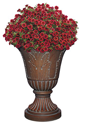 Classic Home & Garden 3/805AB/1 Exquisite Oakmont Planter, 21" Aged Bronze
