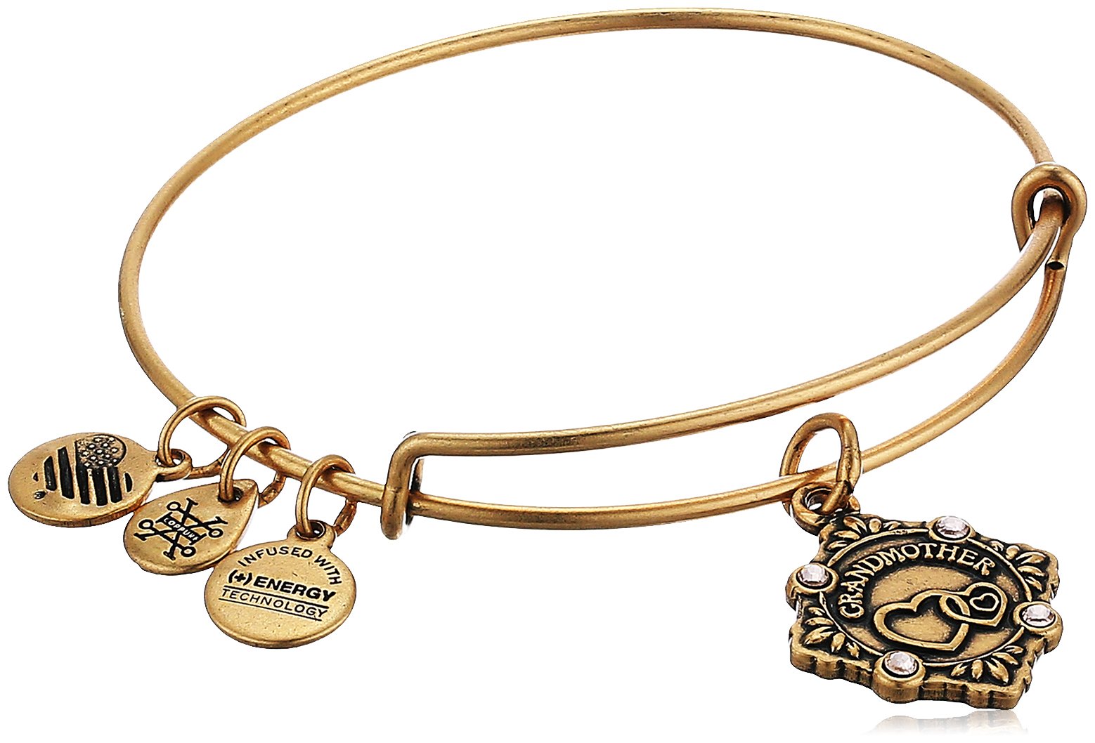 Alex and Ani Womens Because I Love You A18BILY05RG Grandmother Charm Bangle Bracelet, Rafaelian Gold, Expandable