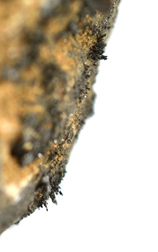 Lodestone Specimen, Approx. 1" (3cm)