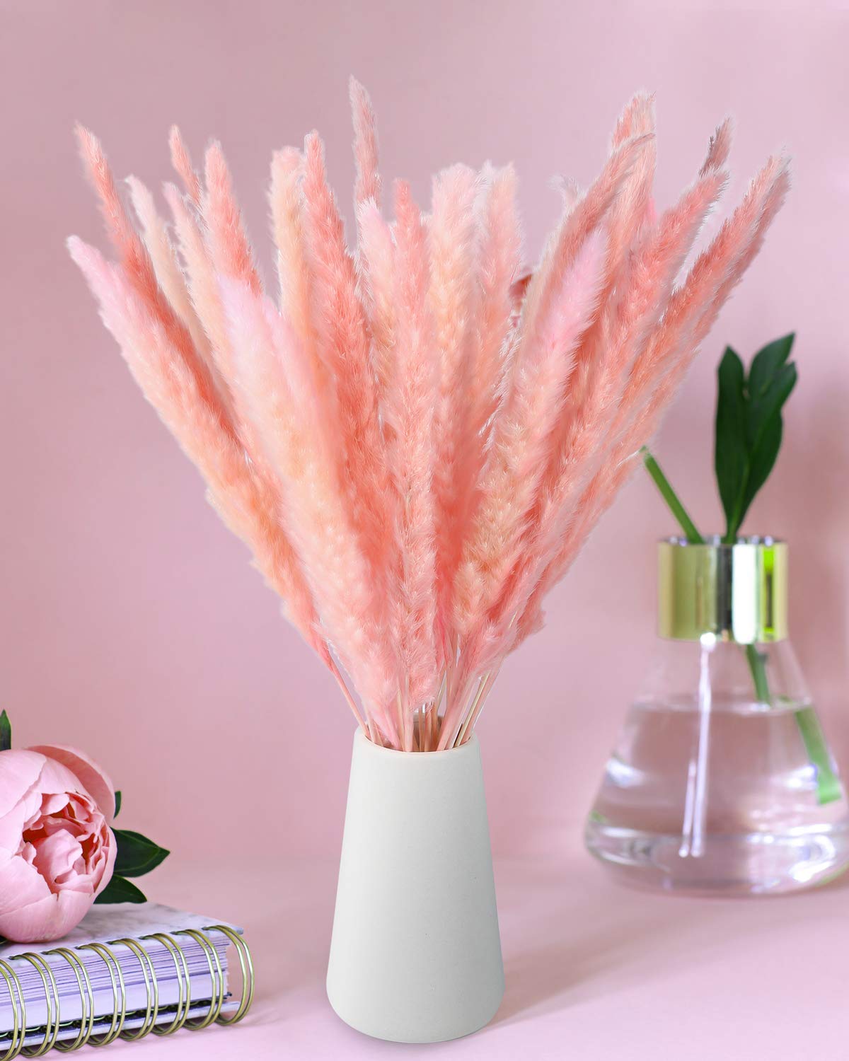 Omldggr 20 Pieces Natural Dried Pampas Grass Natural Dried Flowers Dried Reed Grass for Home Garden Office Party Wedding Decor(Pink)