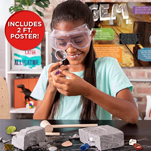 Discovery Kids Gemstone Dig Stem Science Kit by Horizon Group Usa, Excavate, Dig & Reveal 11 Real Gemstones, Includes Goggles, Excavation Tools, Streak Plate, Magnifying Glass & More