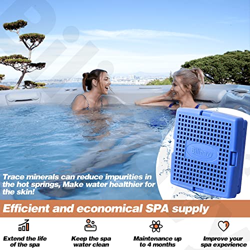 Bilinavy Hot Tub Mineral Sanitizer for Sundance Spas Filter, Silver Ion Mineral Cartridge Last for 4 Months Treats, Cleans and Clarifies