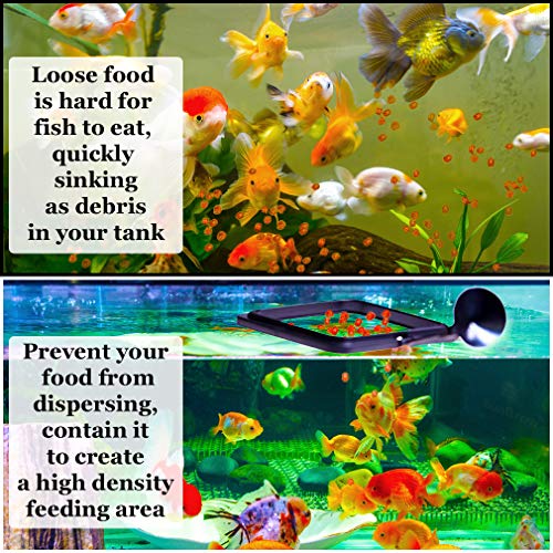 SunGrow Fish Food Feeding Ring, Stop Water Turbulence from Washing Food & Floating Plants into Filter, Suitable for Flakes & Floating Fish Pellets, for Goldfish, Guppy, Neon Tetra, Betta