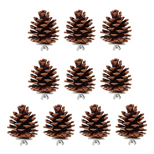 Bird Bite Pine Cones, Safe More Fun Natural Pine Cone Chewing Bird Toy Nut Fix Multifunction for Conure for Parakeet
