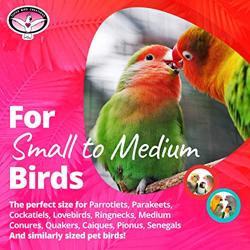 Super Bird Creations SB1085 Flower Power Bird Toy, Small/Medium Bird Size, 7" x 2.5" x 2"