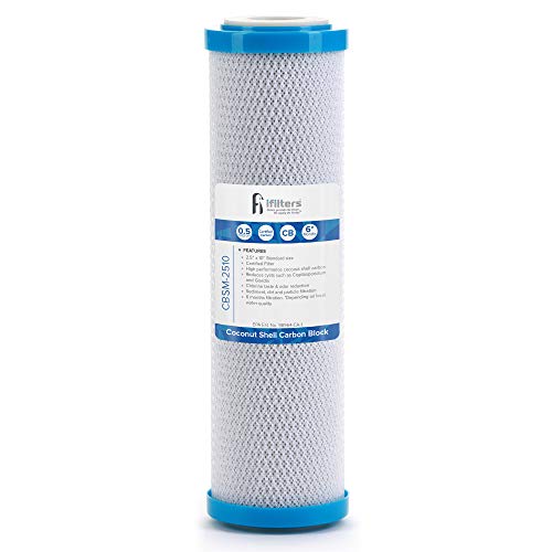 Coconut Shell CTO, Cyst Carbon Block Drinking Water Filter, 2.5 x 10, 0.5 Micron