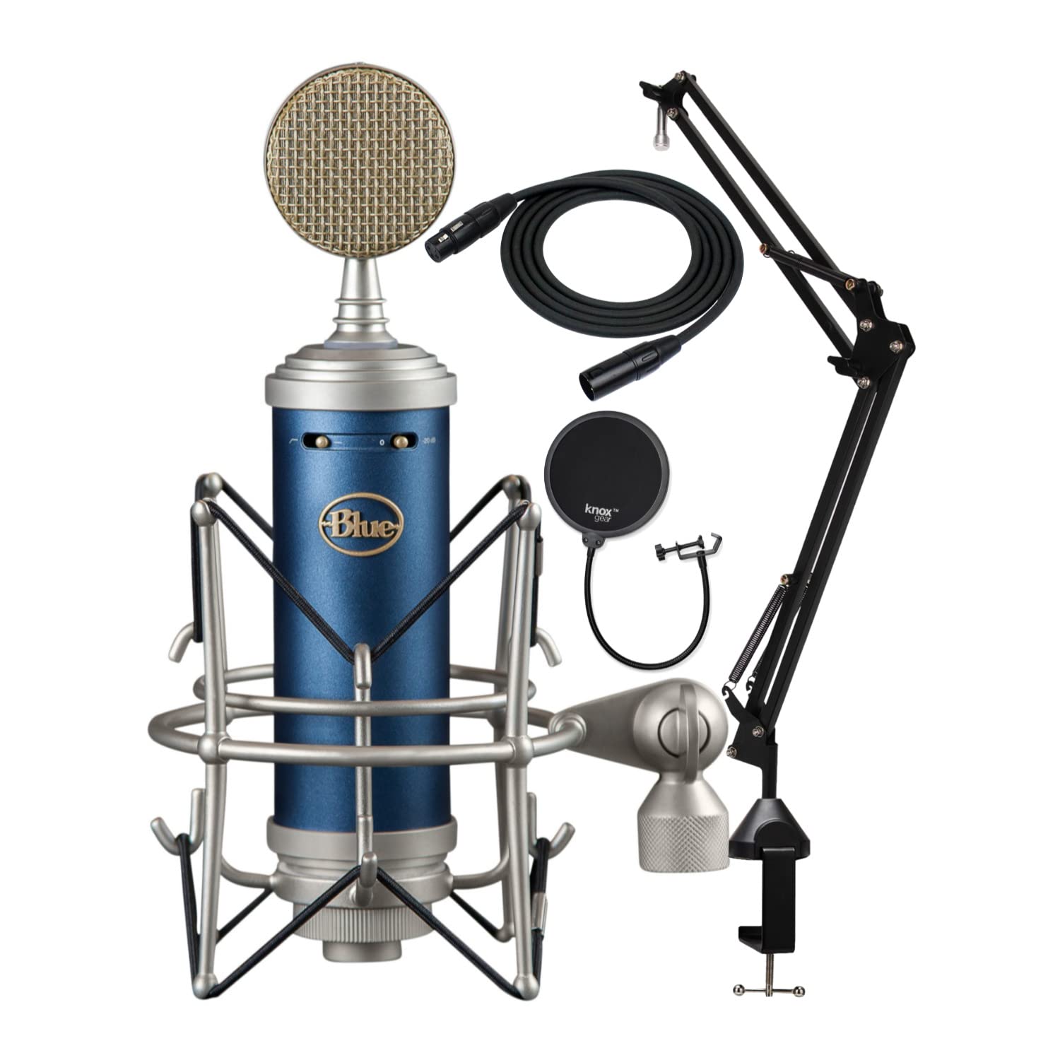 Blue Microphones Bluebird Large Diaphragm Studio Condenser Microphone Bundle with Microphone Stand, Microphone Cable, Pop Filter (4 Items)